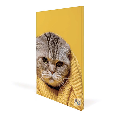 24in x 36in Canvas Frame | Anything Display