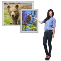 Buy Economy Snap Frame LED Light Box Signs for Displays