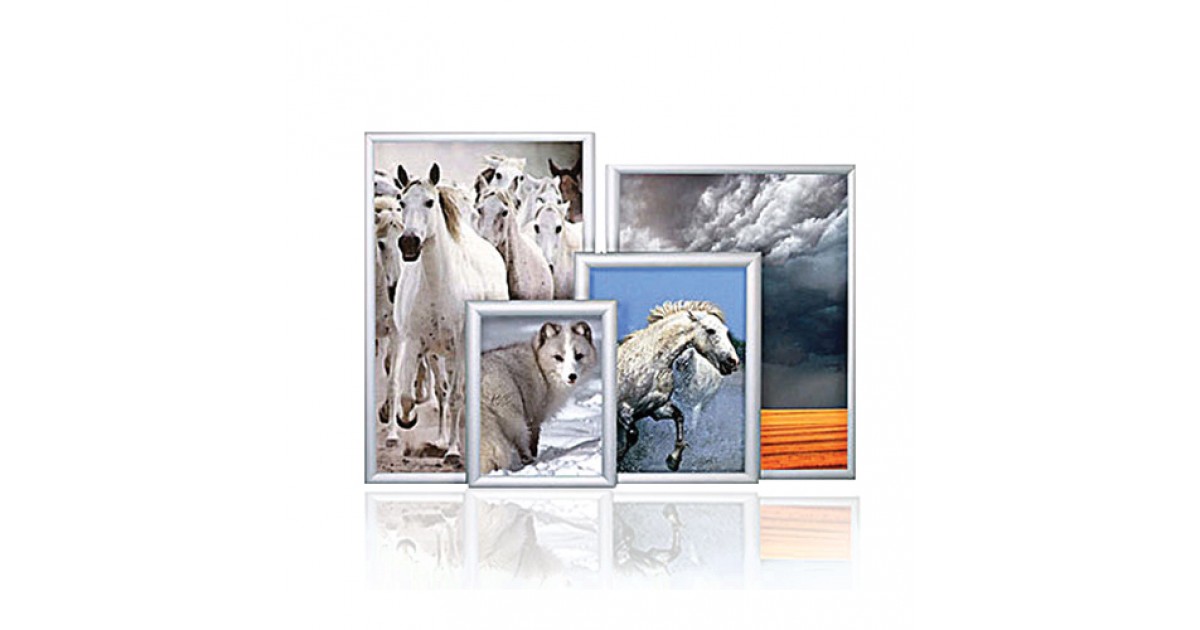 Buy Poster Frame Graphic Holder 24in x 30in Economy Poster Snap Frame